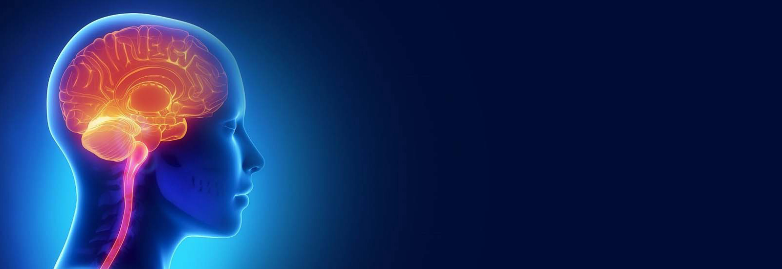 Departments – Parumala Hospital